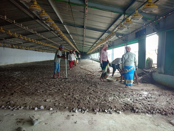 Tycon | Industrial-Construction